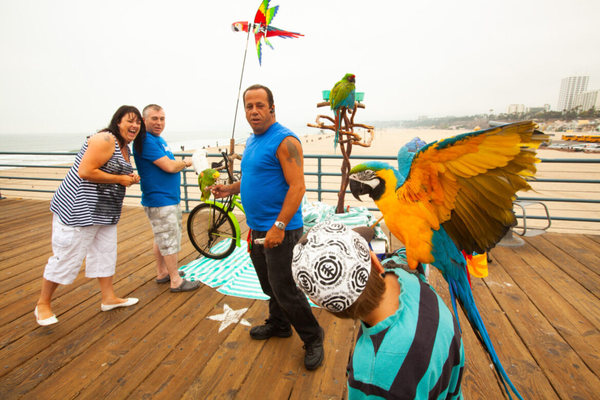 Larry Brownstein is the Culver Arts Grant Recipient for January | Helms ...